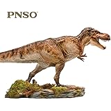 Amazon | PNSO 成長シリーズ ティラノサウルス・レックス ウィルソン T-REX Tレックス 恐竜 科学 芸術 模型 リアル 動物 フィギュア PVC プレミアム プラモデル ...