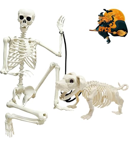Skeleton Toy Dakota Fields 36