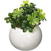 Amazon.co.jp: フルタック(Fultac) 光触媒 消臭 抗菌 防カビ フェイクグリーン ラウンドポット ストロベリー インテリア グリーン 造花 観葉植物 163565 ...