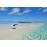 Amazon.co.jp: igsticker ポスター ウォールステッカー シール式ステッカー 飾り 515×728㎜ B2 写真 フォト 壁 インテリア おしゃれ 剥がせる wall ...