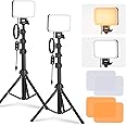 NEEWER Basics LED Video Light, 2 Pack Studio Panel Key Lighting Kit ...
