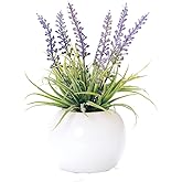 Amazon.co.jp: フルタック(Fultac) 光触媒 消臭 抗菌 防カビ フェイクグリーン 3点セット(ユーカリ、エアプランツ、ファンシェイプ グリーン) インテリア グリーン 造花 ...