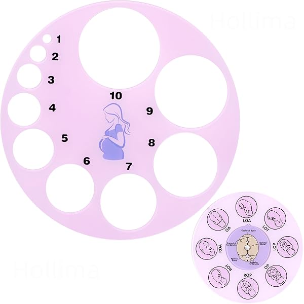 Gifts For Pregnant Women Cervical Dilation Chart, Cervix Chart, Doula ...