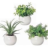 Amazon.co.jp: フルタック(Fultac) 光触媒 消臭 抗菌 防カビ フェイクグリーン ラウンドポット ストロベリー インテリア グリーン 造花 観葉植物 163565 ...