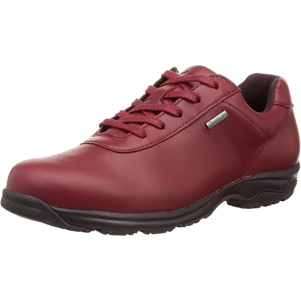 Amazon.co.jp: Mizuno LD40 V α SW GORE-TEX Waterproof Men's Walking