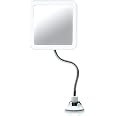 Fancii 10X Flexible Magnifying Makeup Mirror with Natural LED Lights ...