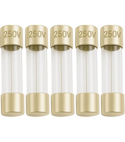 Ricambio Fusibili WITONICS Pack Of 5, Axial T1AL250V, T1A 250V, T1L250V ...