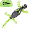 HEX BOTS Wall Crawler Gecko, Rechargeable Remote Control Robot Kids ...