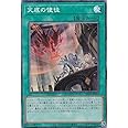Amazon.co.jp: 遊戯王 RC04-JP063 天底の使徒 (日本語版 コレクターズレア) RARITY COLLECTION －QUARTER CENTURY EDITION ...