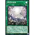 Amazon.co.jp: 遊戯王カード ROTA-JP058 原石の皇脈 （スーパーレア） RAGE OF THE ABYSS ROTA 永続魔法 SR スーパー レア 原石 : ホビー