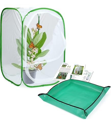 Monarch Butterfly Kit Floral Tubes Beeveer 18-Piece Monarch Butterfly ...