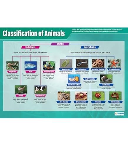 Classification Of Living Organisms Science Posters
