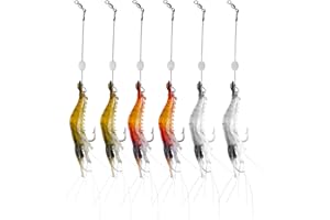 Amazon.com.au Best Sellers: The most popular items in Fishing Equipment