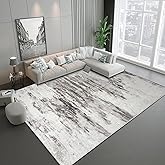 Cinknots Area Rug Living Room Rugs Grey Modern Luxury Rug Soft Short ...