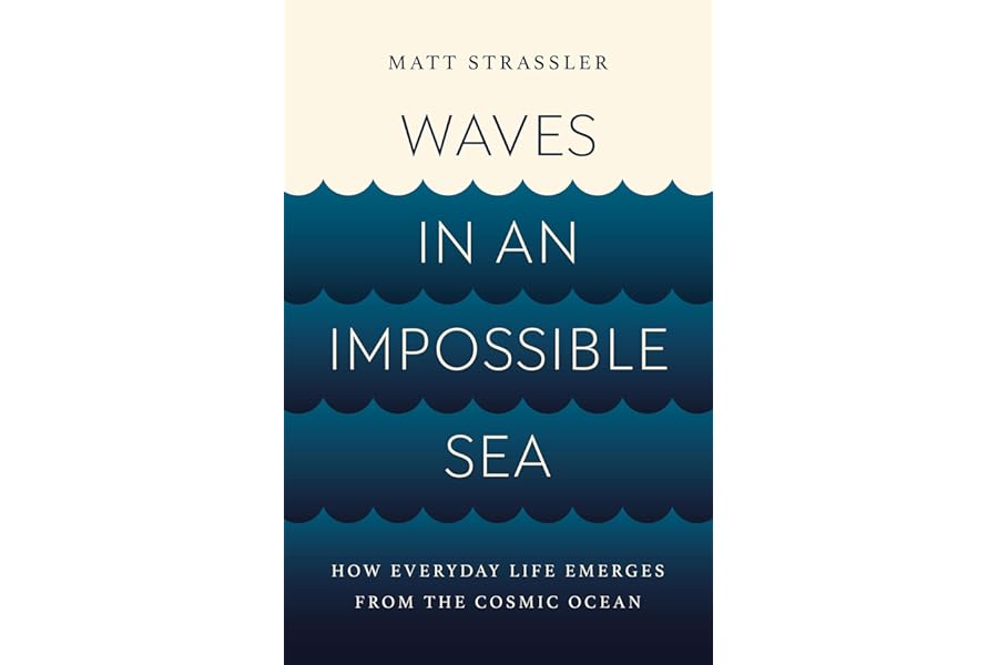 【本要約】 Waves in an Impossible Sea How Everyday Life Emerges from the ...