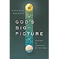 God's Big Picture: Tracing the Storyline of the Bible : Roberts ...
