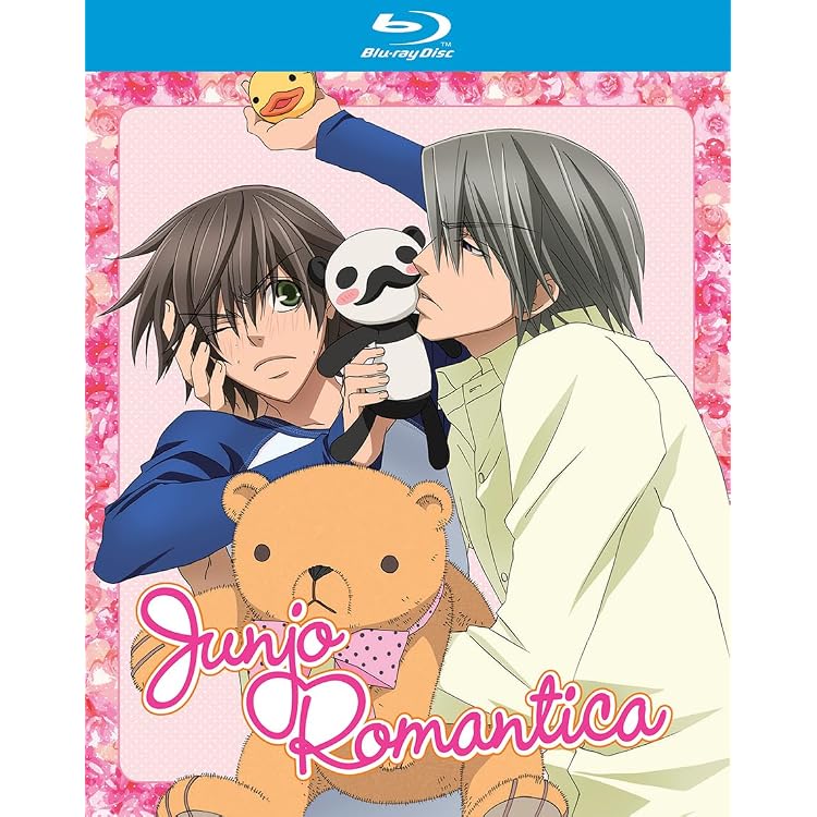 Hikaru Hanada Junjou