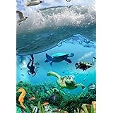 Amazon.co.jp: igsticker ポスター ウォールステッカー シール式ステッカー 飾り 515×728㎜ B2 写真 フォト 壁 インテリア おしゃれ 剥がせる wall ...