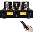 Juson Audio FTA88 180W KT88 Valve Tube Amplifier Class A HiFi Vacuum ...