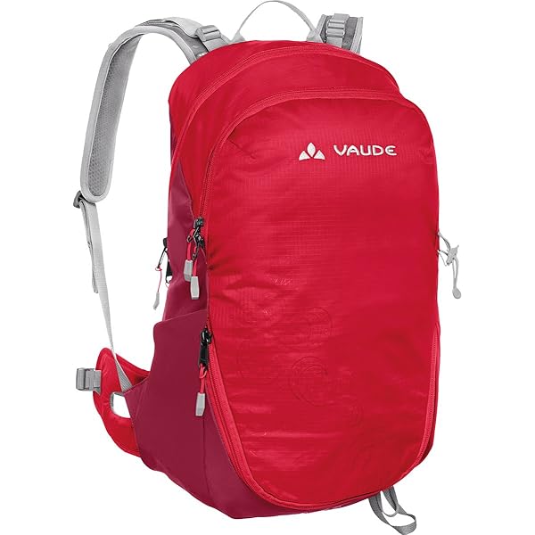 Amazon.co.jp: [ファウデ] リュック ウィメンズ アストラム60+10 Salsa