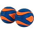 Chuckit! 31537 Ultra Squeaker Ball- 2pk, Blue & Orange, Small : Amazon ...
