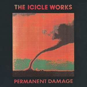 PERMANENT DAMAGE - ICICLE WORKS