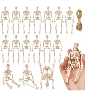 Mini Bones Wybcfp 24Pcs Halloween Skeleton Bones Decoration Fake ...