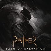 Amazon.co.jp: REMEDY LANE RE:VISITED: ミュージック