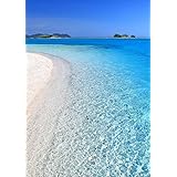 Amazon.co.jp: igsticker ポスター ウォールステッカー シール式ステッカー 飾り 515×728㎜ B2 写真 フォト 壁 インテリア おしゃれ 剥がせる wall ...