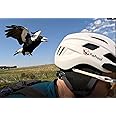 PieProof Cycle Helmets. Australian Certification, Magpie Proof, Light ...