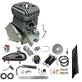 TDR BT110 110CC Engine Kit 2 Stroke Motorized Bicycle Petrol Gas Kick ...