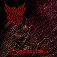 Amazon.co.jp: The Sanguinary Impetus: ミュージック