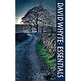 Pilgrim : Whyte, David: Amazon.com.au: Books