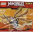 Amazon | LEGO Ninjago Exclusive Mini Figure Set #30080 Zane Ninja ...