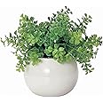 Amazon.co.jp: フルタック(Fultac) 光触媒 消臭 抗菌 防カビ フェイクグリーン ラウンドポット ファンシェイプ インテリア グリーン 造花 観葉植物 163534 ...
