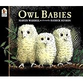 Owl Babies : Waddell, Martin, Benson, Patrick: Amazon.com.au: Books
