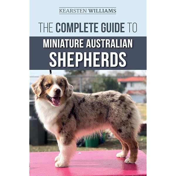 Miniature Australian Shepherd Weight Chart