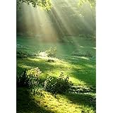 Amazon.co.jp: igsticker ポスター ウォールステッカー シール式ステッカー 飾り 515×728㎜ B2 写真 フォト 壁 インテリア おしゃれ 剥がせる wall ...