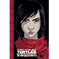 Teenage Mutant Ninja Turtles: The IDW Collection Volume 15: The IDW ...