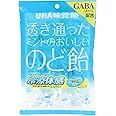 Amazon | 味覚糖 透き通ったミントのおいしいのど飴 92g×6袋 | UHA味覚糖 | ミントタブレット 通販