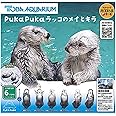Amazon | PukaPuka ラッコのメイとキラ × 全6種セット フルコンプ ガチャガチャ カプセルトイ | カプセル玩具 | おもちゃ