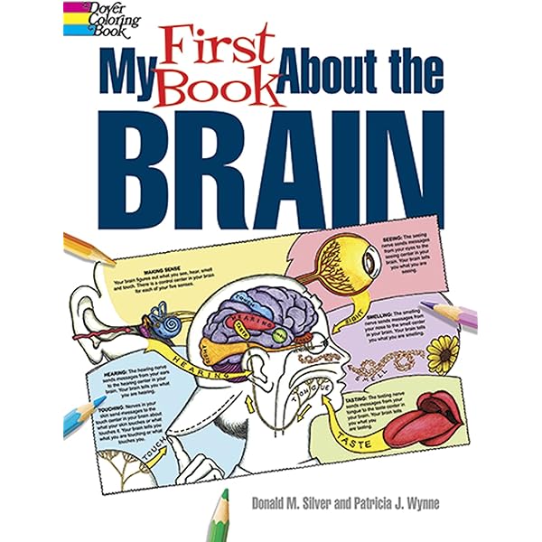 Brain Rot Stickers What Are Teachng Ads And Types Of Teachng Ads ...