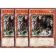Amazon.co.jp: 【3枚セット】遊戯王カード ROTA-JP021 地下牢の徊神 （レア） RAGE OF THE ABYSS ROTA 効果 タルタロス : ホビー
