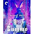 Gummo (Criterion Collection) : Max Perlich, Linda Manz, Chloë Sevigny ...