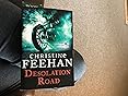 Desolation Road (Torpedo Ink) eBook : Feehan, Christine: Amazon.com.au ...