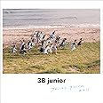 Amazon.co.jp: 3Bjunior ファースト・アルバム 2016(初回限定盤)(Blu-ray Disc付): ミュージック