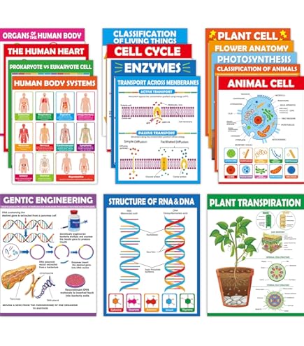 Eukaryotic And Prokaryotic Cells Science Educational School Posters