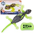 HEX BOTS Wall Crawler Gecko, Rechargeable Remote Control Robot Kids ...