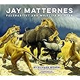 Jay Matternes: Paleoartist and Wildlife Painter : MILNER, RICHARD ...