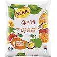 Berri Quelch Icy Poles Fruit Sticks Ice Blocks 24 x 70ml, Icypole, Ice ...